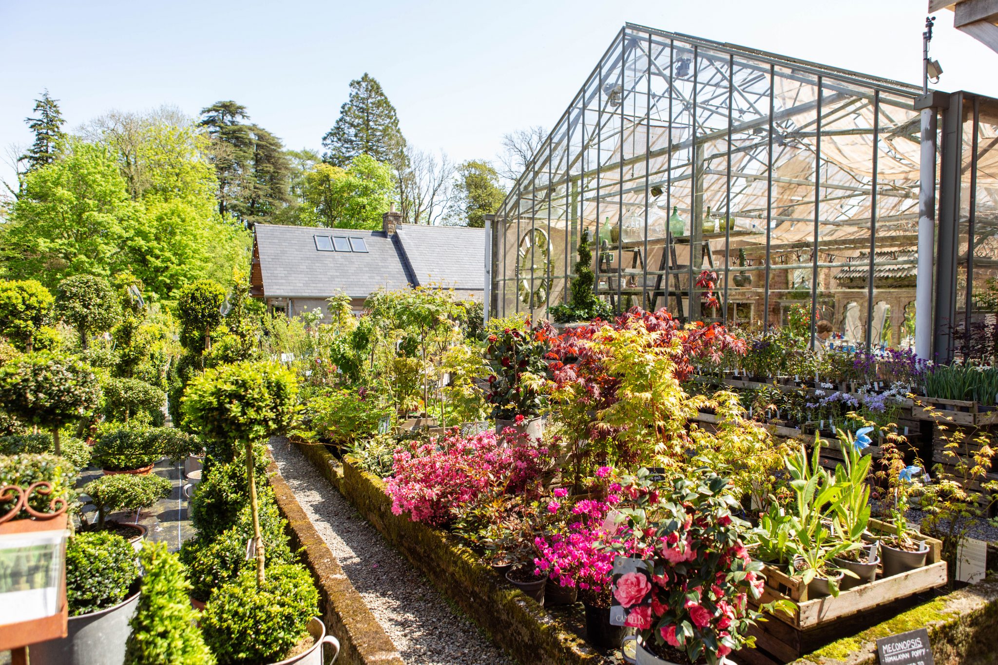 Holden Clough Nurseries - visit ribble valley visit ribble valley