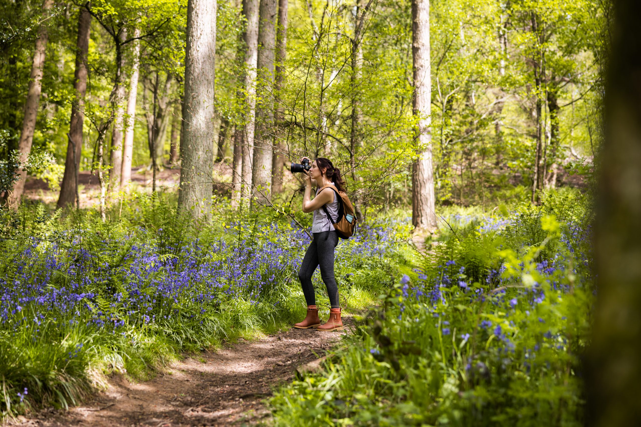Spring Wood - visit ribble valley visit ribble valley