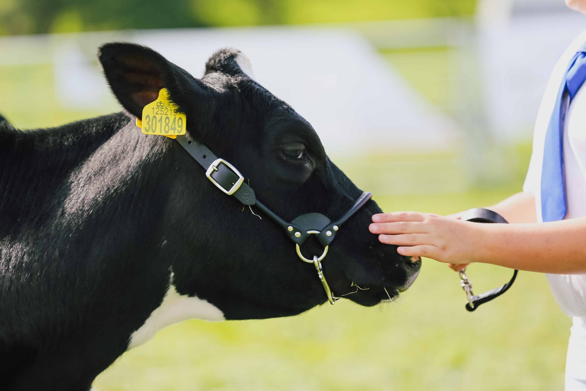 Goosnargh & Longridge Show - visit ribble valley visit ribble valley