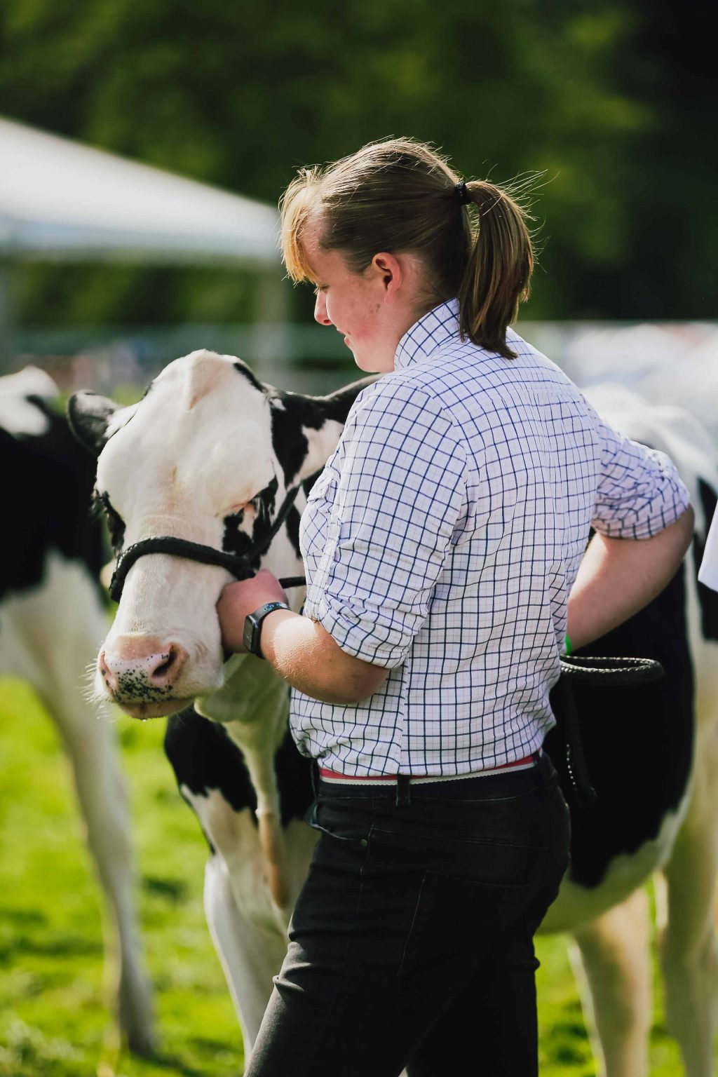 Hodder Valley Show - visit ribble valley visit ribble valley