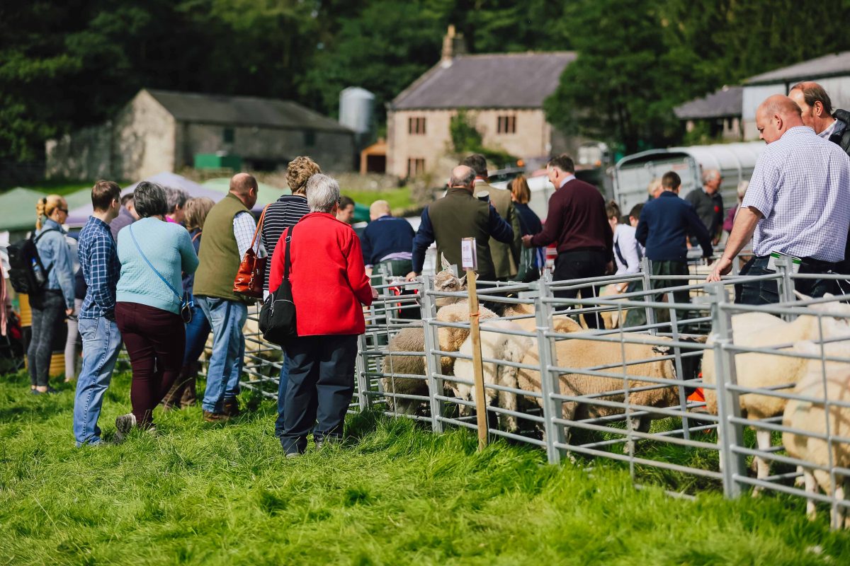 Hodder Valley Show - visit ribble valley visit ribble valley