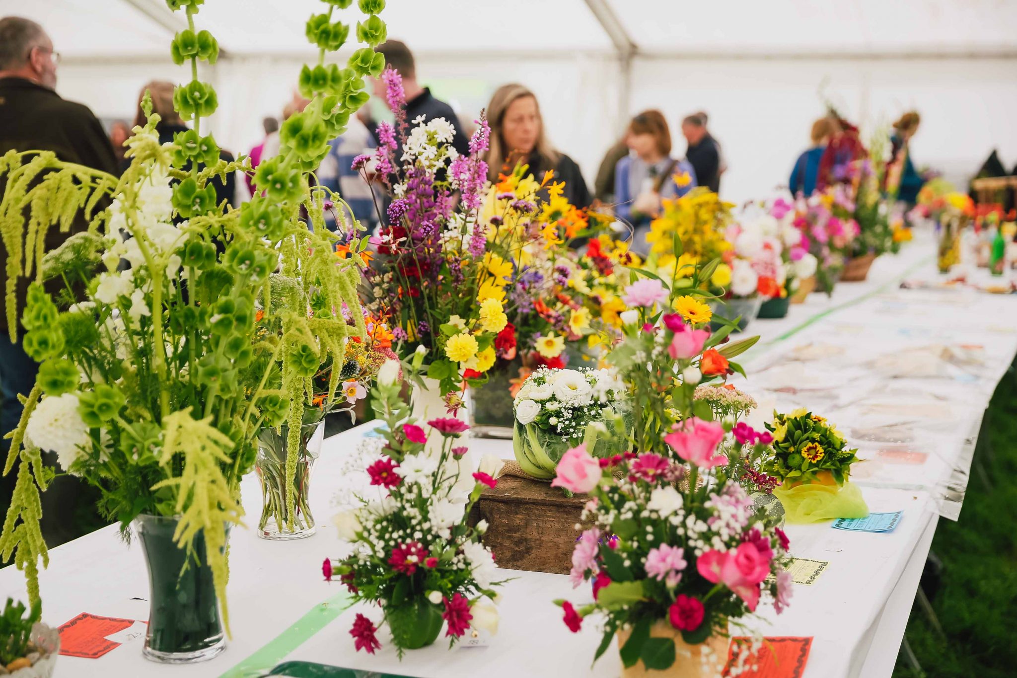 Hodder Valley Show - visit ribble valley visit ribble valley